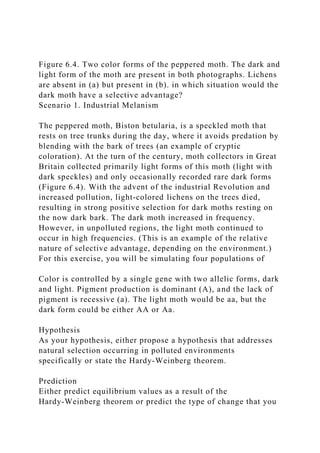 p. 1Lab 6 Population Genetics Hardy-Weinberg TheoremOBJEC.docx