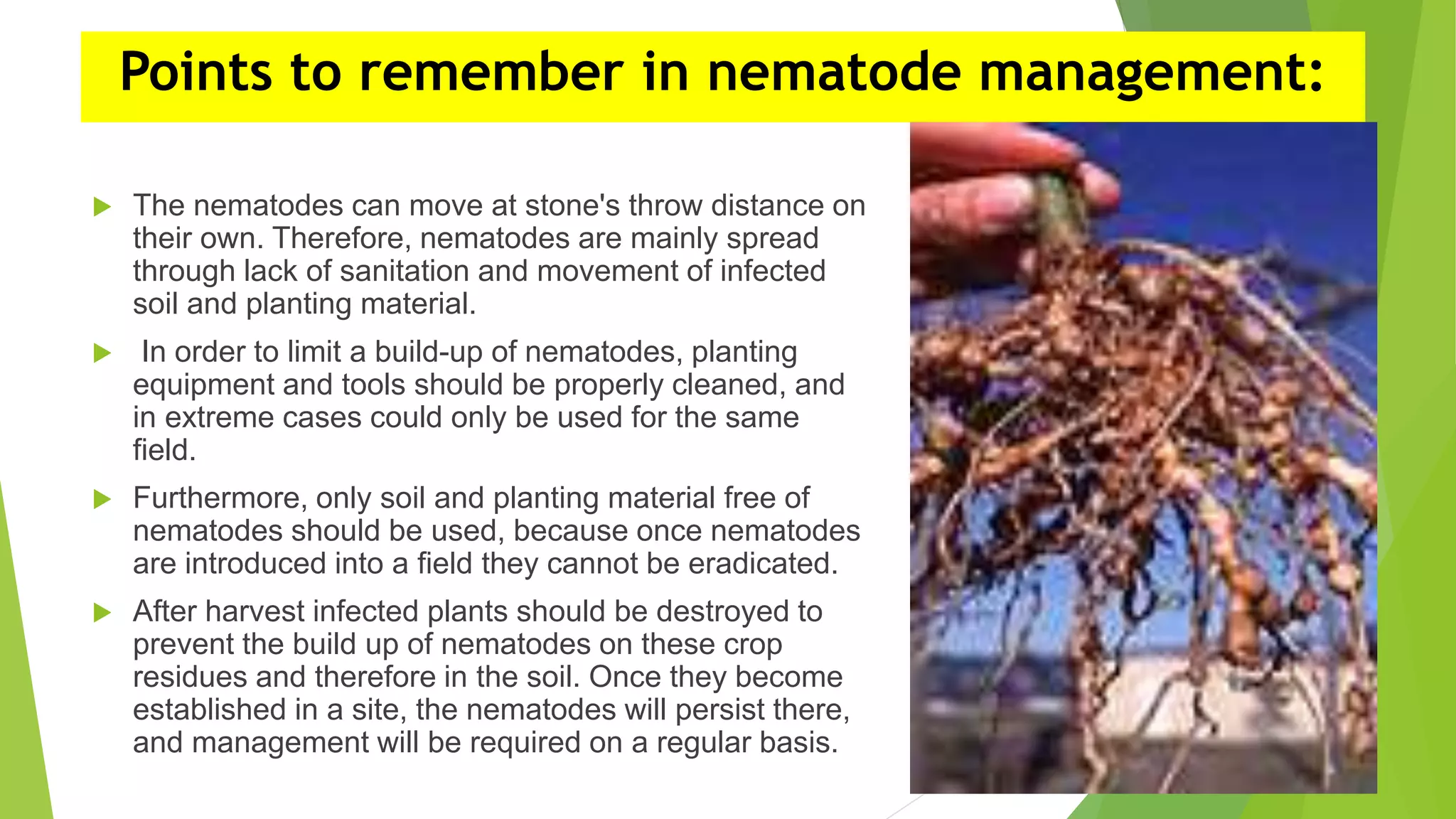 NEMATODE MANAGEMENT OPTIONS AND APPROACHES FOR ORGANIC FARMING AND ...