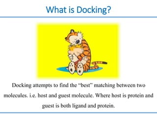 P. Joshi SBDD and docking.ppt | Pharmaceutical Industry | Industries