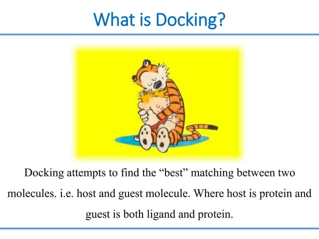 P. Joshi SBDD and docking.ppt