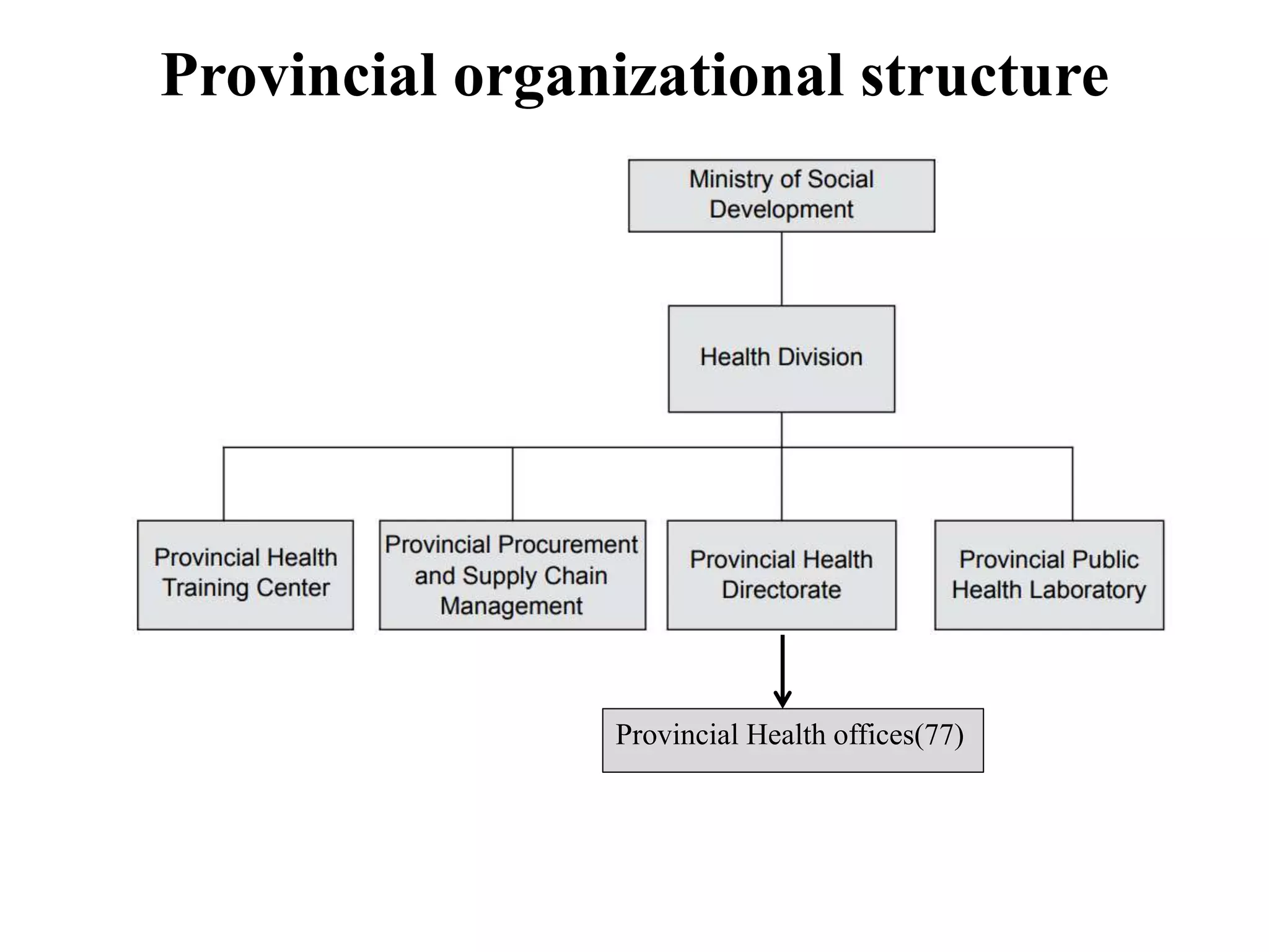 Provincial Health office-presentation.pptx