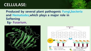 P.Devadharshini 2021031019 (PAT).pptx