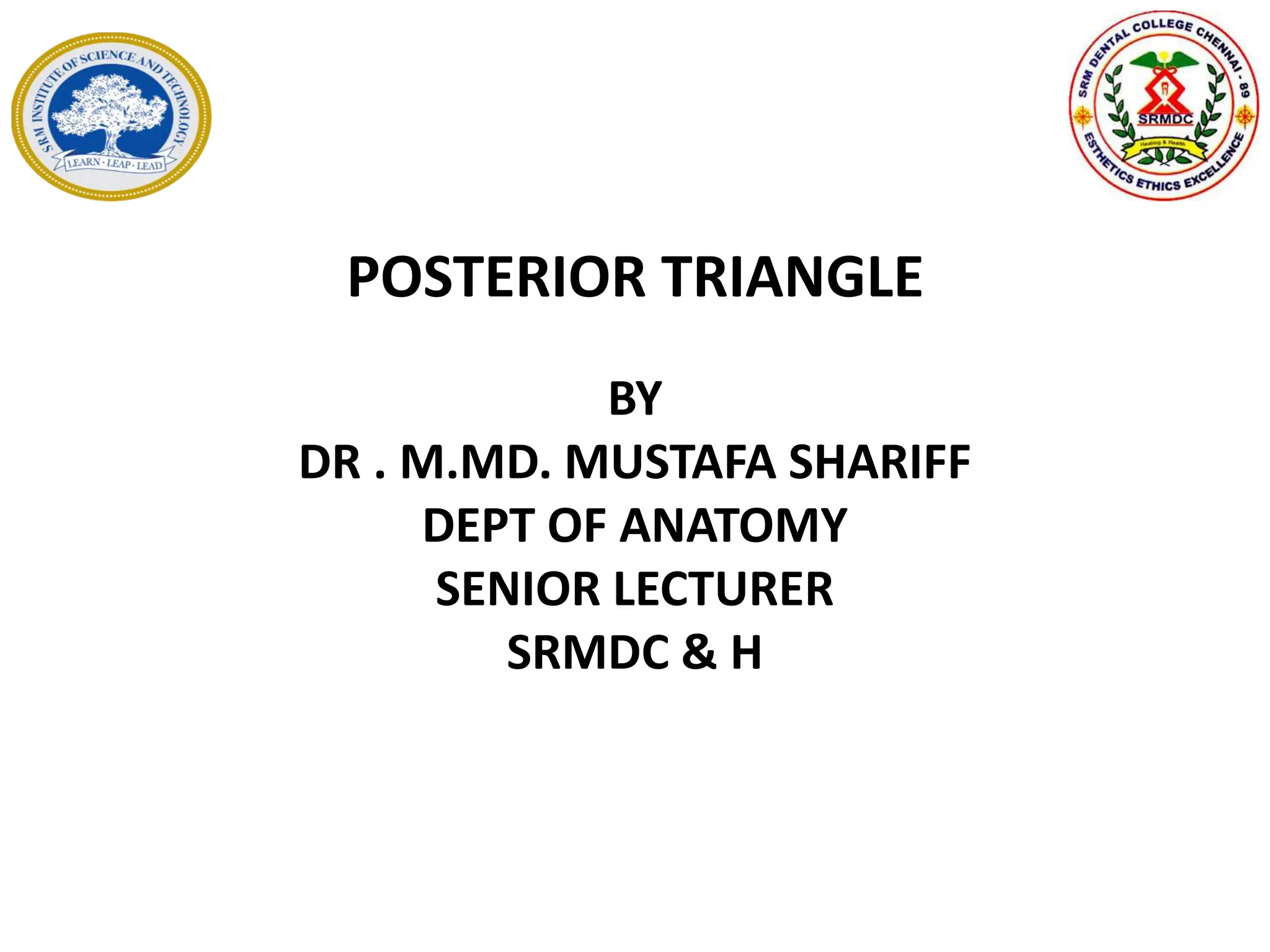 POSTERIOR TRIANGLE | PDF