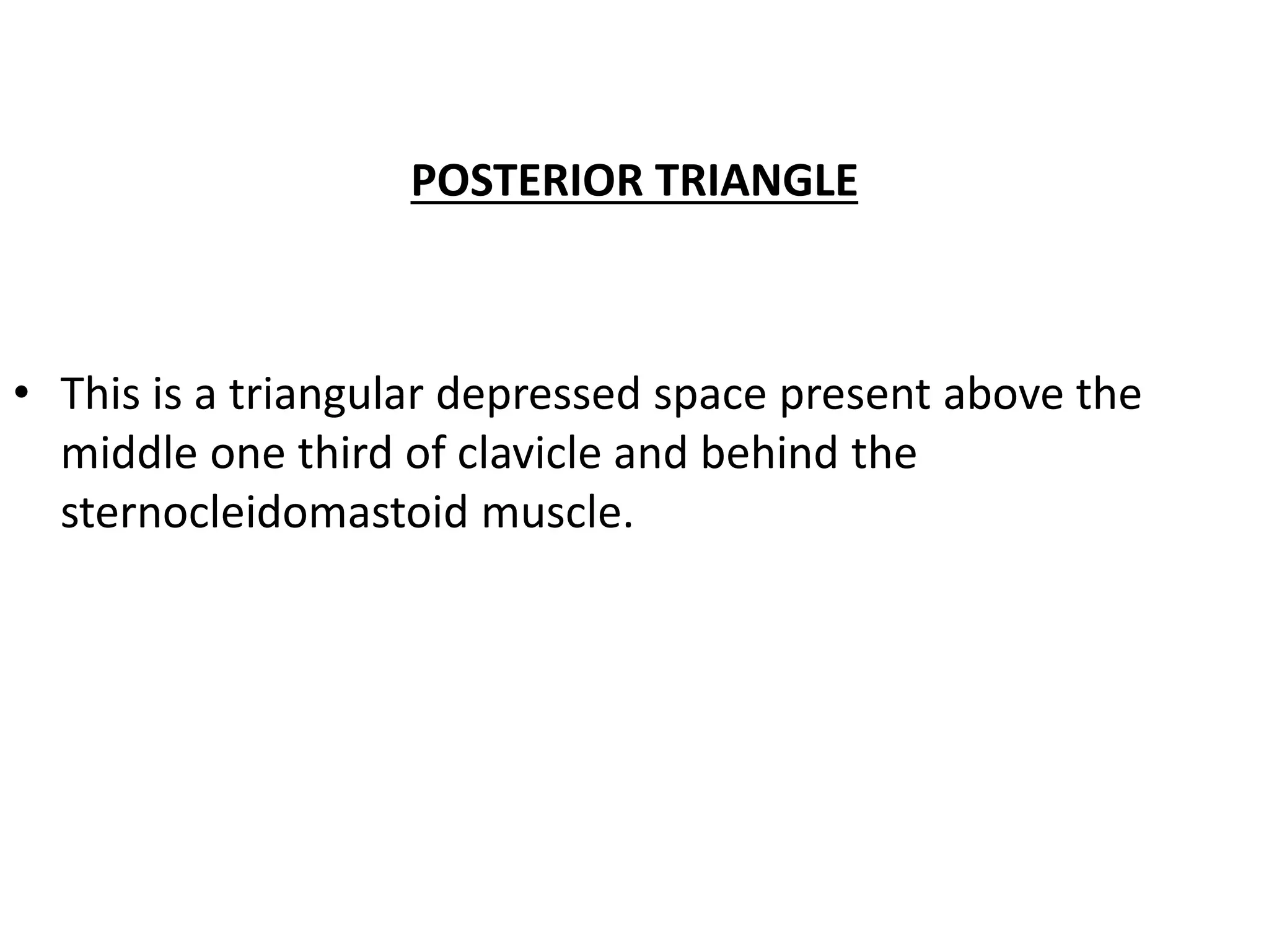 POSTERIOR TRIANGLE | PDF