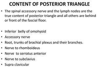 POSTERIOR TRIANGLE | PDF