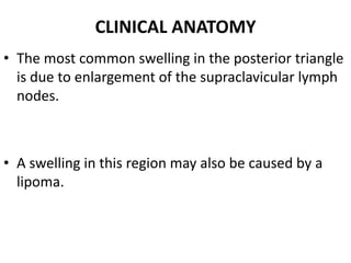 POSTERIOR TRIANGLE | PDF