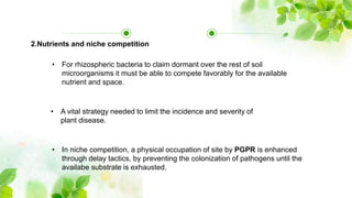PLANT GROWTH PROMOTING RHIZOBACTERIA IN PHYTOREMEDIATION | PPTX ...