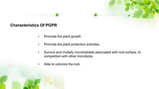 PLANT GROWTH PROMOTING RHIZOBACTERIA IN PHYTOREMEDIATION | PPTX ...