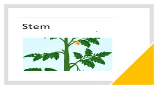 p.148 Grade 1 111¹11222222222222222.pptx