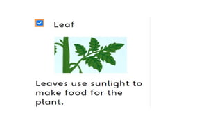 p.148 Grade 1 111¹11222222222222222.pptx