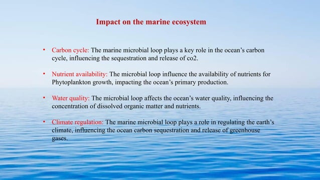 Marine microbial environment - Microbial loop | PPTX
