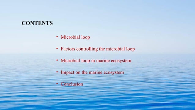 Marine microbial environment - Microbial loop | PPTX