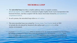 Marine microbial environment - Microbial loop | PPTX
