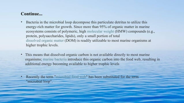 Marine microbial environment - Microbial loop | PPTX