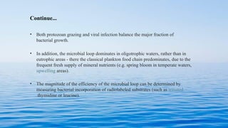 Marine microbial environment - Microbial loop | PPTX
