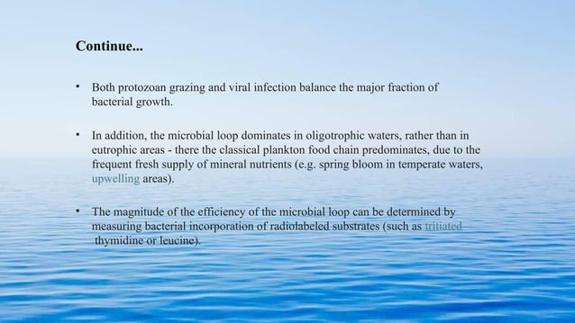 Marine microbial environment - Microbial loop | PPTX