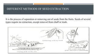 seed processing,principle and objective types and layout | PPTX