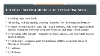 seed processing,principle and objective types and layout | PPTX