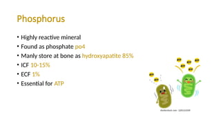 Phosphorus disturbance | hyperphosphatemia | hypophosphatemia | PPT