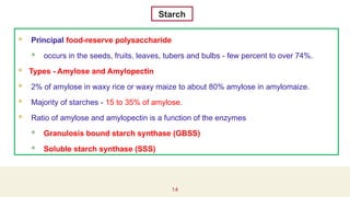 Synthesis and accumulation of starch and mobilization of starch during ...