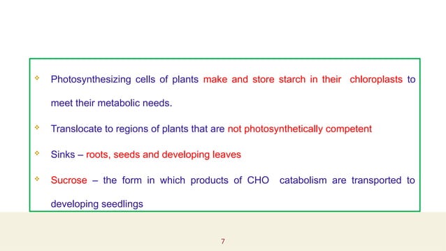 Synthesis and accumulation of starch and mobilization of starch during ...
