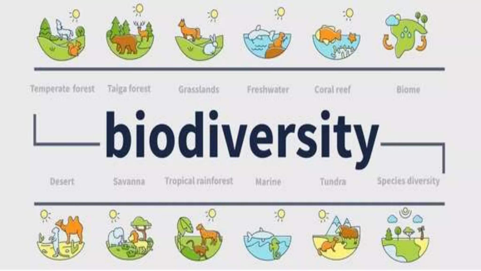 Biodiversity and Conservation l Types of Biodiversity l Genetic ... Biodiversity and Conservation l Types of Biodiversity l Genetic ...