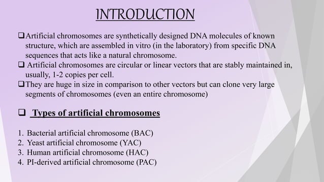 Artificial chromosome I Bacterial Artificial Chromosome I Yeast Artificial Chromosome l Genetic ...
