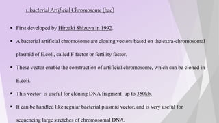 Artificial chromosome I Bacterial Artificial Chromosome I Yeast Artificial Chromosome l Genetic ...