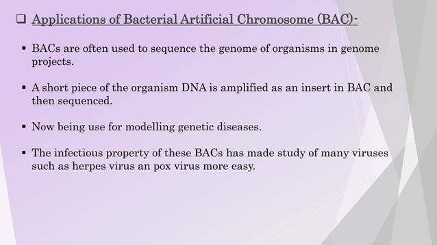 Artificial Chromosome I Bacterial Artificial Chromosome I Yeast