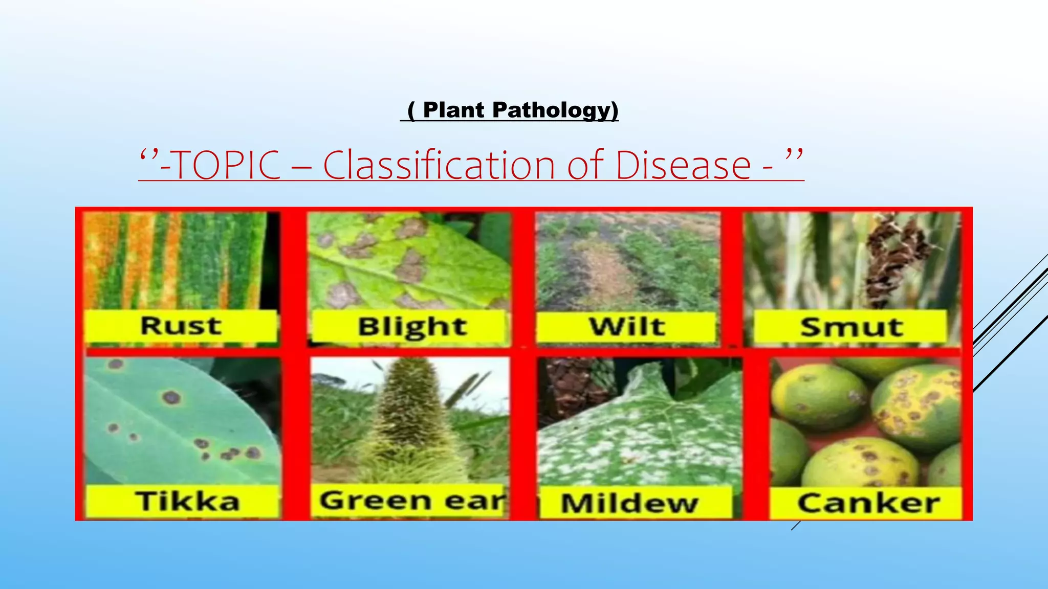 Classification of disease l Types of Disease in Plants l Seed, Soil ...