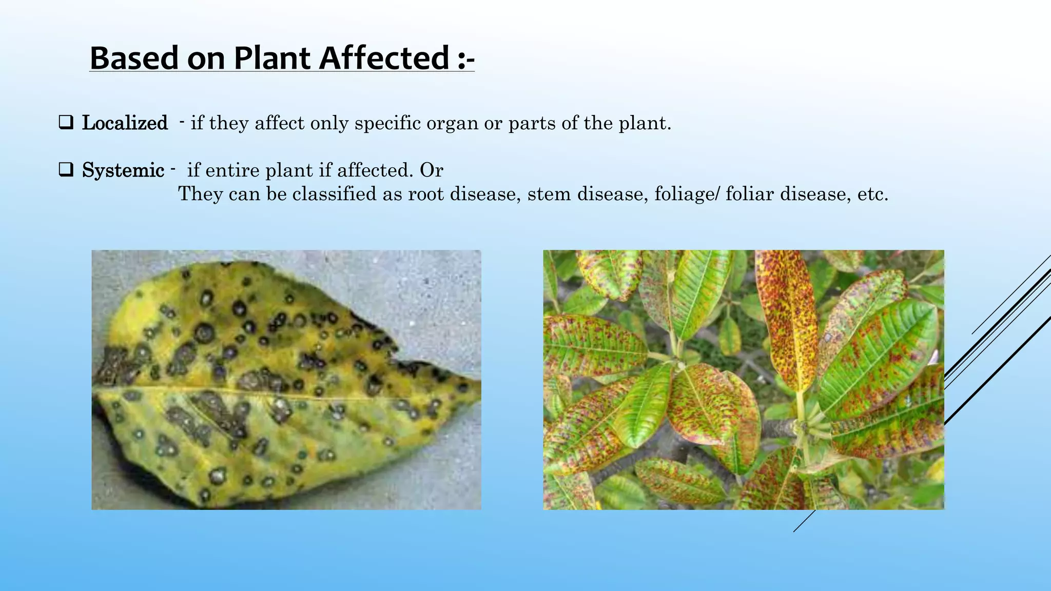 Classification of disease l Types of Disease in Plants l Seed, Soil ...