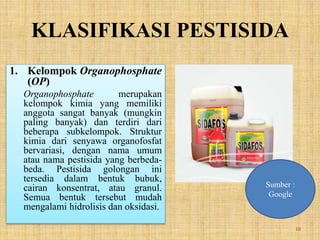 P-4 dan P-5 Pestisida.pptx
