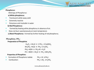 P block elements | PPTX