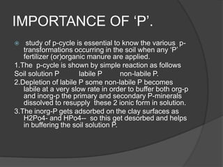 P cycle | PPTX