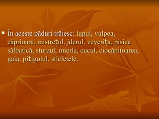 Păduri de foioase | PPT