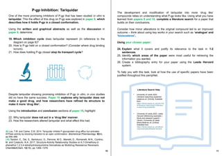 P-glycoprotein Pamphlet: Iteration 2 of 5 | PPTX