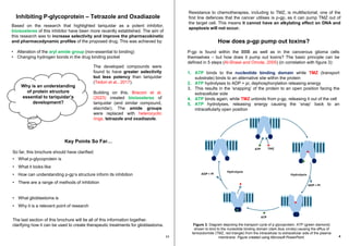 P-glycoprotein Pamphlet: Iteration 1 of 5 | PPT
