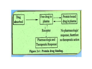 Protein-Drug Interaction | PPTX