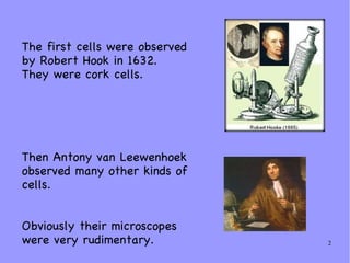 optical microscope | PPT