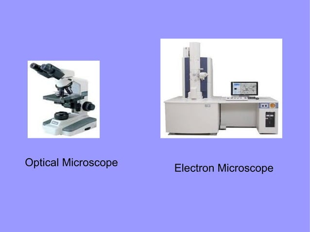 optical microscope | PPT