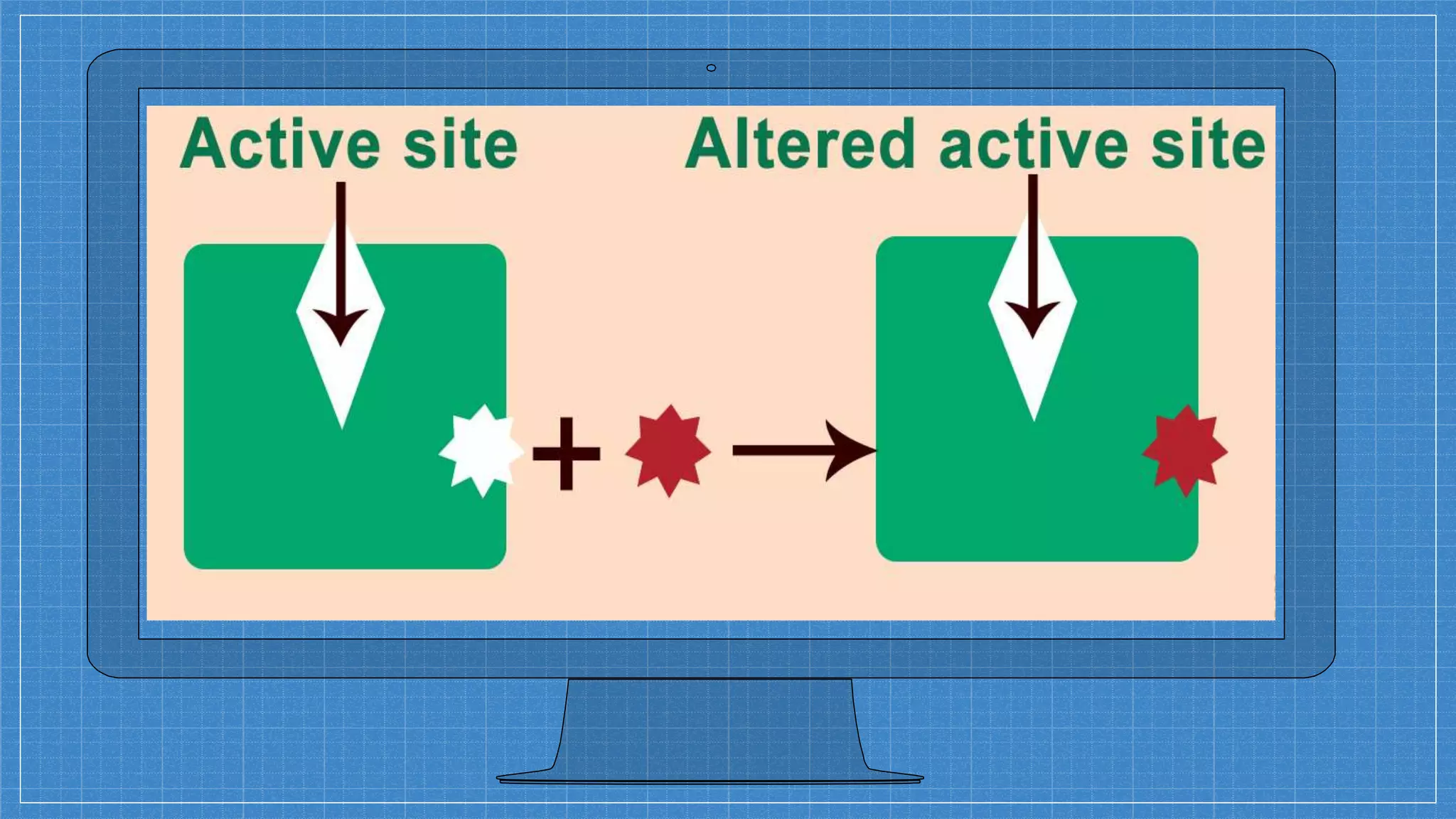 Principles & Mechanism of drug action | PPTX