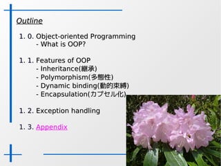 Object-oriented Programming / Exception handling | PPT