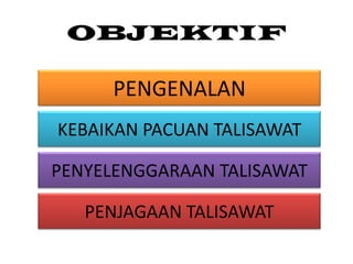 P.p belt | PPTX