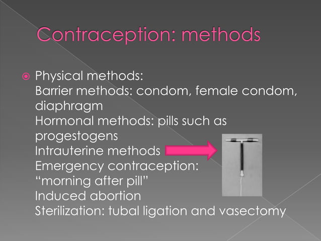 P.P.P. Contraception Lesson Plan | PPTX