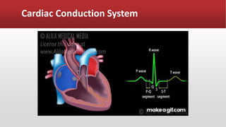 P-QRS-T peak detection of ECG signal by MATLAB | PPTX