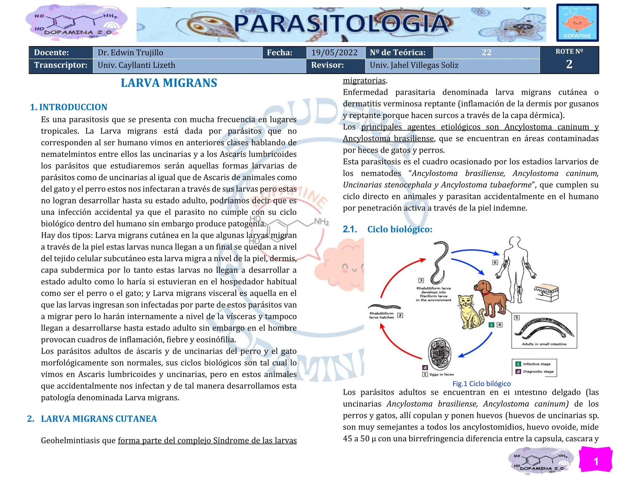 P-R2-T22 LARVA MIGRANS.pdf teórica 2024 larvas | PDF