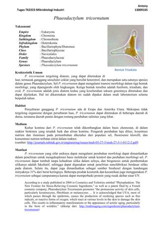P. tricornutum | PDF
