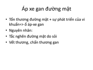 Áp-xe gan.ppt