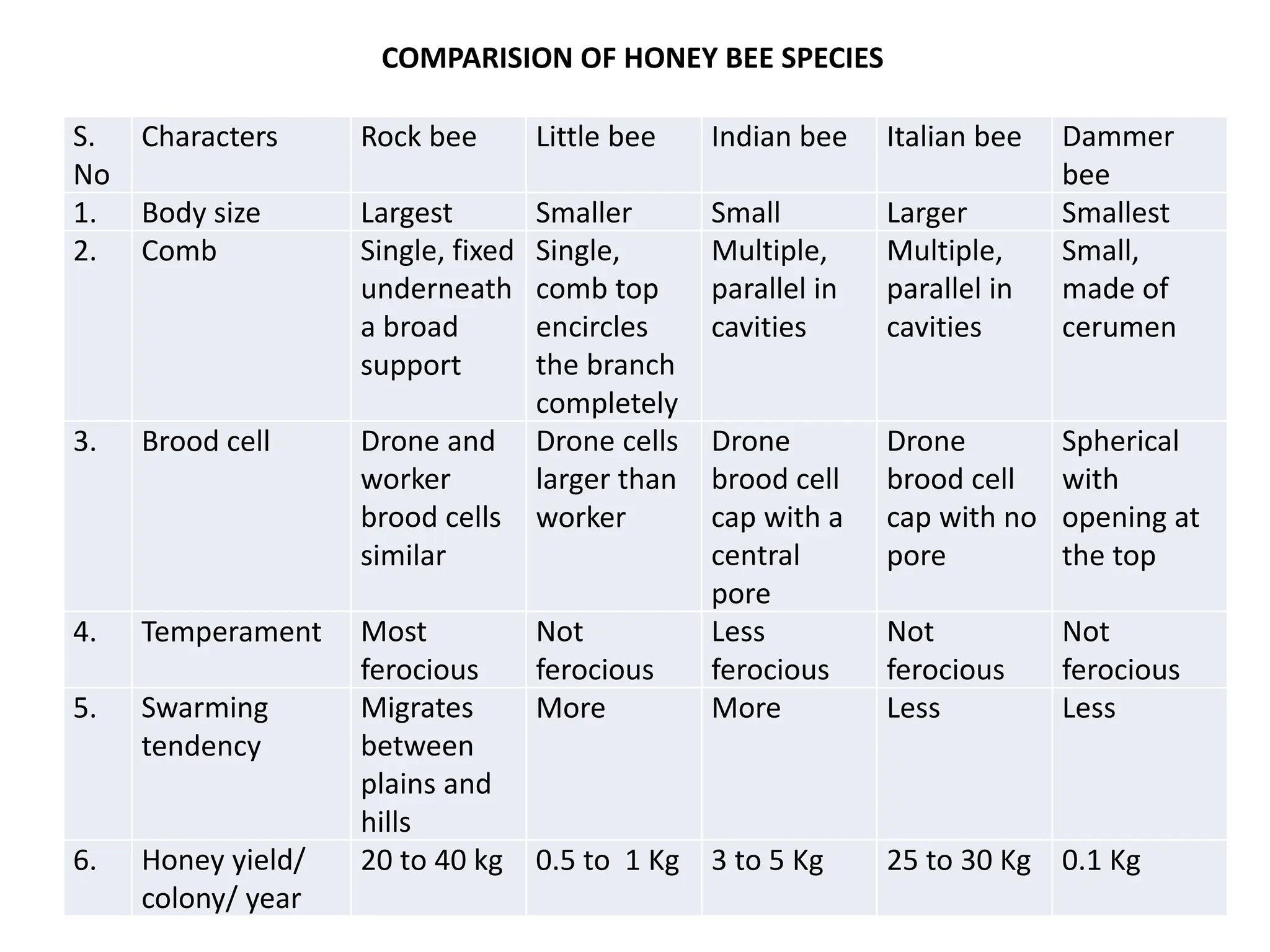 P 01 Bee Morphology. pptx | PPT