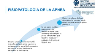 Apnea Neonatal | PPTX
